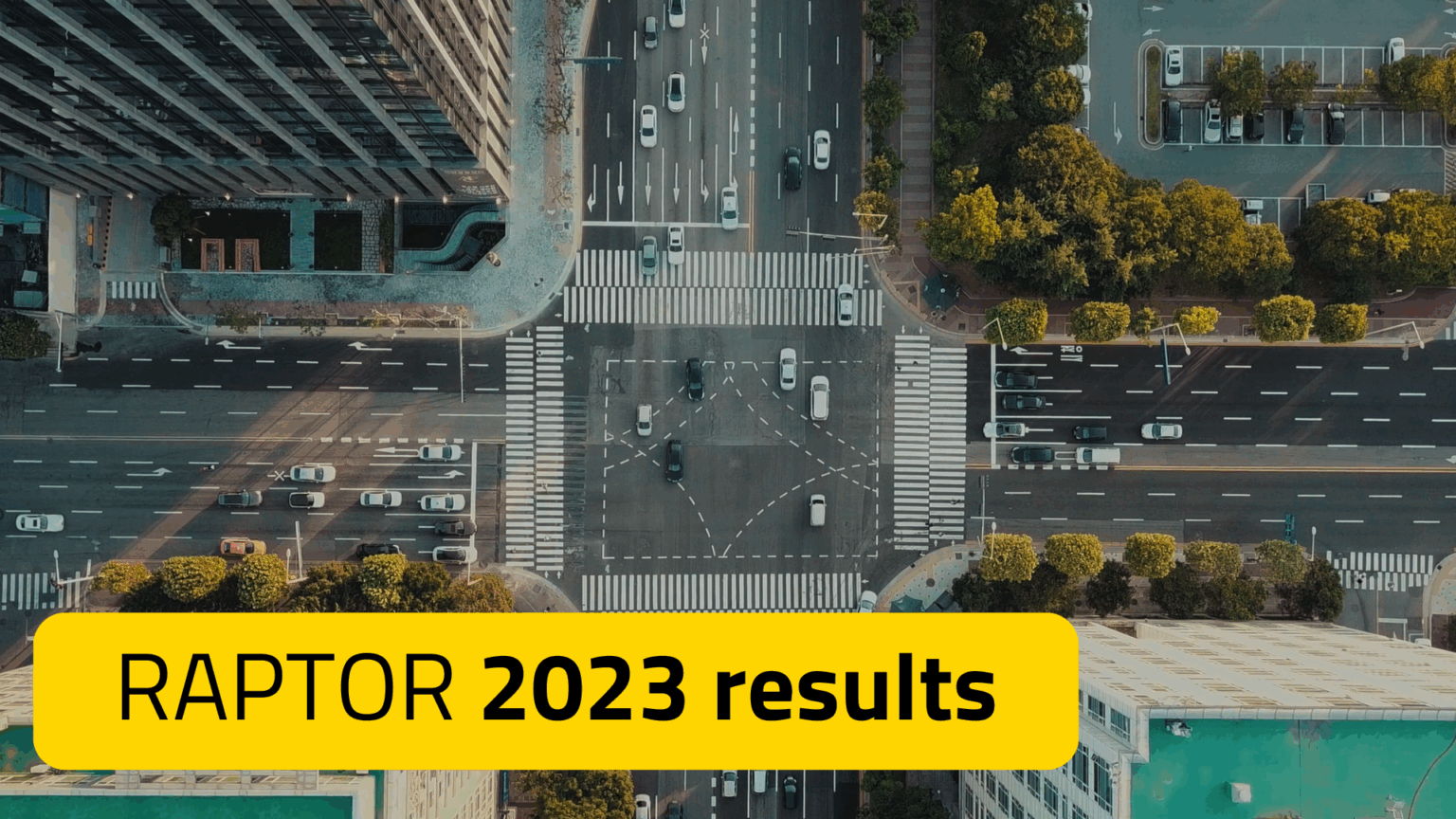 Home - Raptor Project