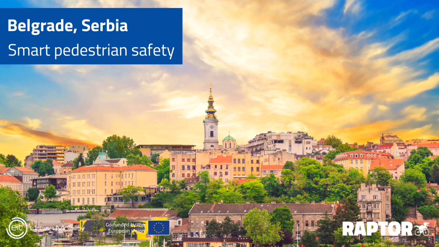 Projects Archive - Raptor Project